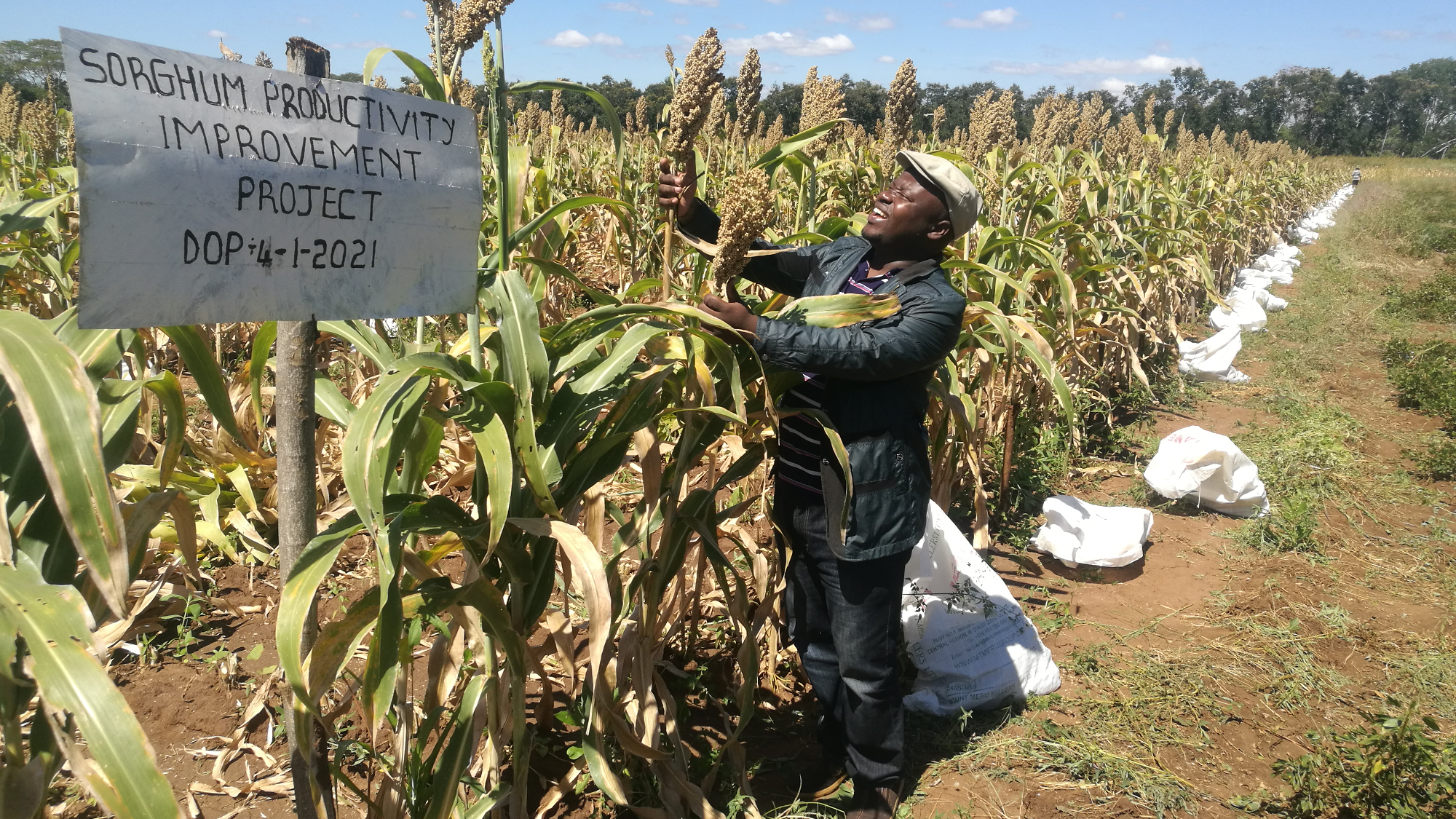 Exploring Climate Smart Cropping System Solutions for Smallholder ...