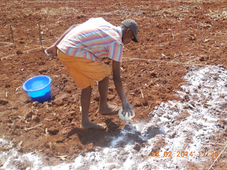Soil Health Challenges in Sub-Saharan Africa: Status and Solutions ...