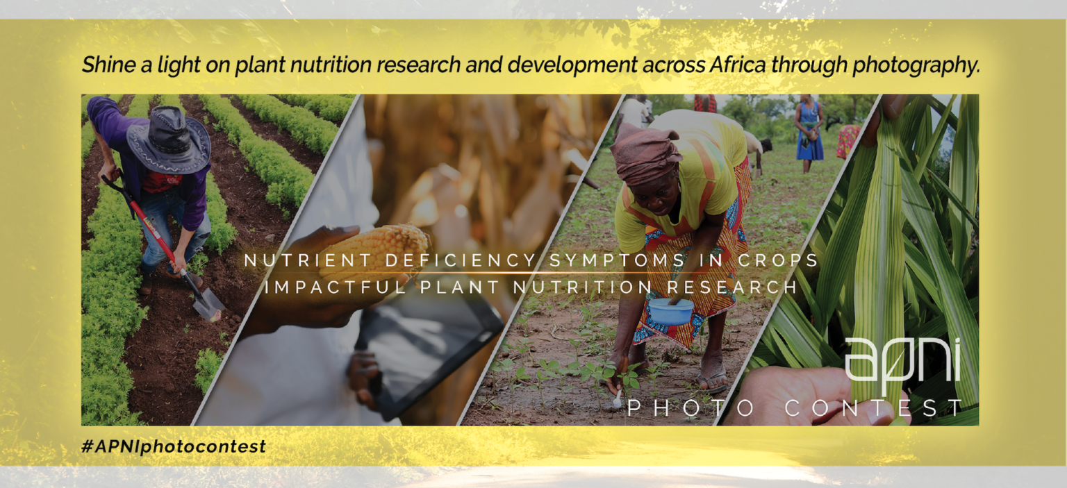 Soil Health Challenges in Sub-Saharan Africa: Status and Solutions ...