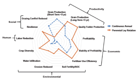 Soil Health Challenges in Sub-Saharan Africa: Status and Solutions ...