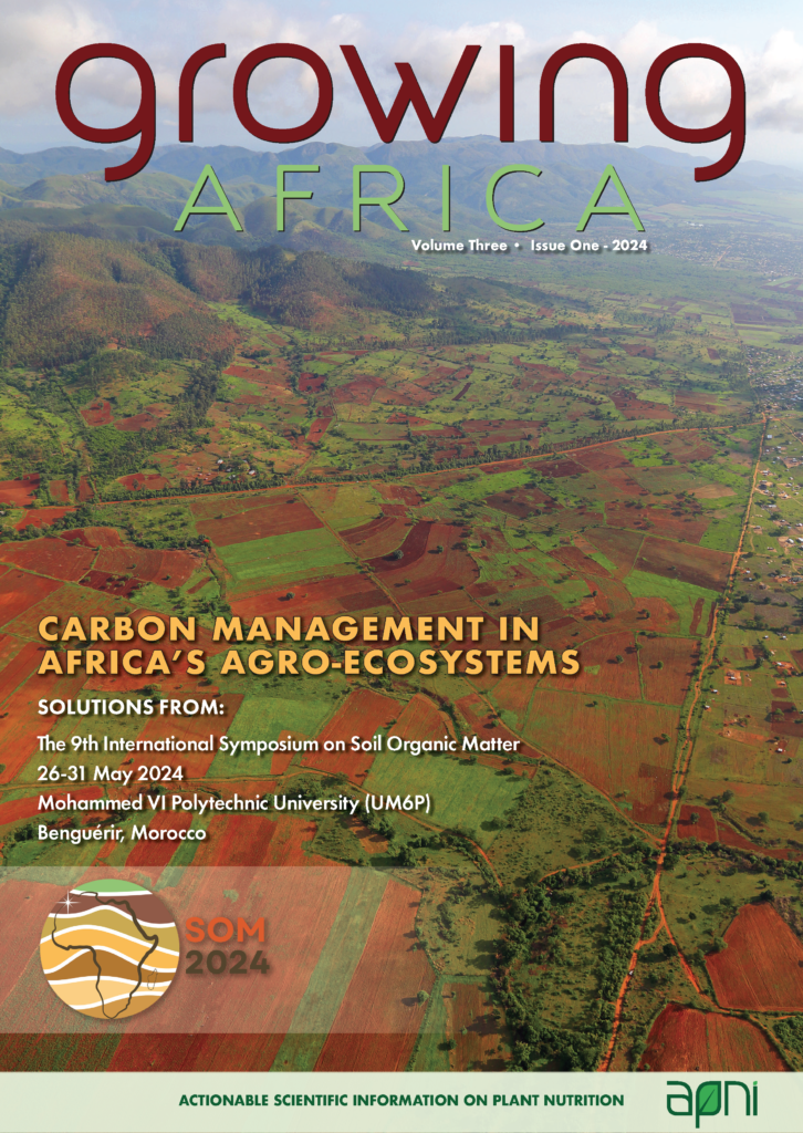 Soil Health Challenges in Sub-Saharan Africa: Status and Solutions ...
